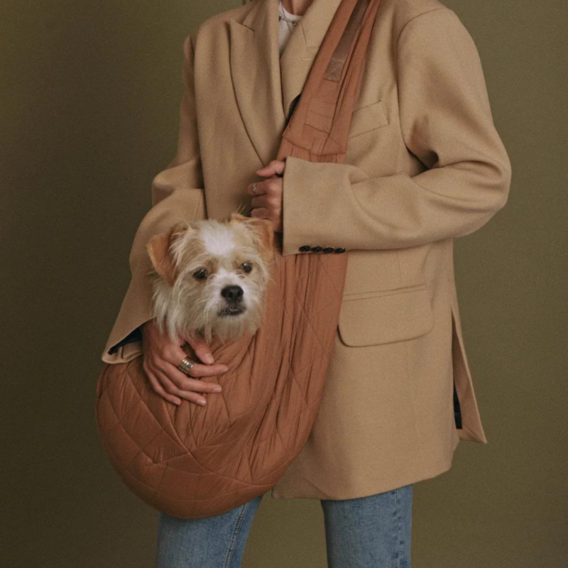 20 Neutral Pet Supplies That Are Actually Cute - Teresa Caruso